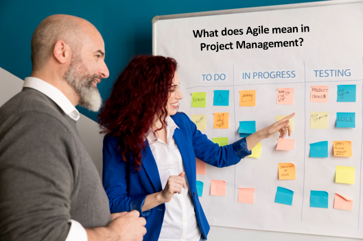 What does agile mean in project management? – ISO Templates and ...